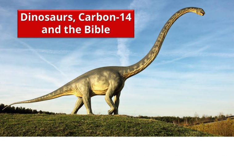 Connecting the Bible and science