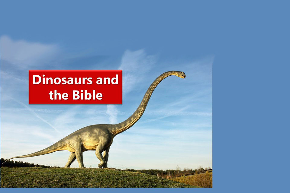 Connecting the Bible and science